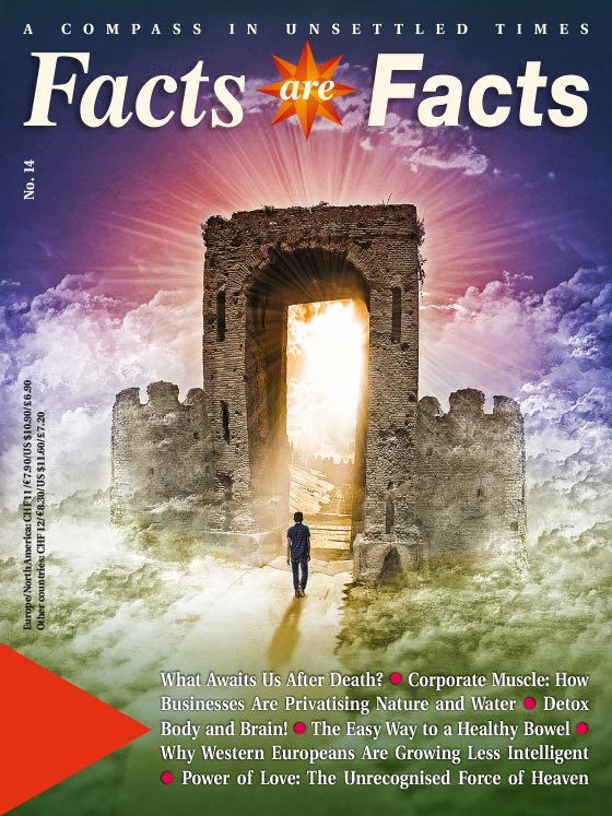 Facts are Facts No. 14 - Facts are Facts Online-Shop